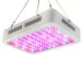 LED Plant Grow Light Supplier UAE